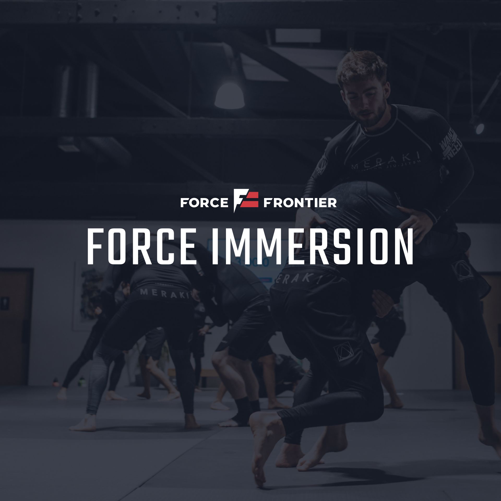 Force Immersion - Force Frontier